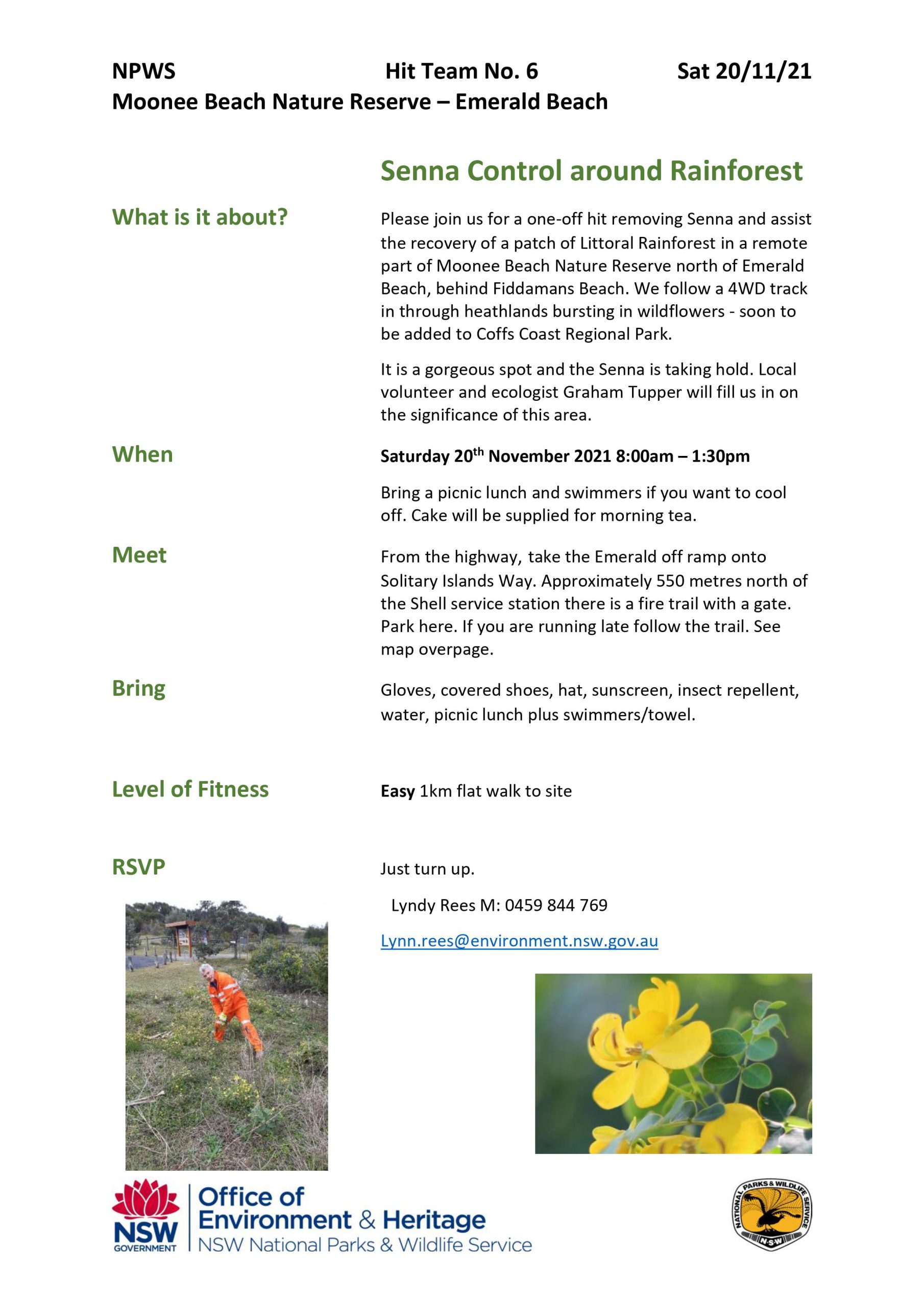 Weed Blitz at Emerald Beach - 20th Nov 2021 - Coffs Harbour Regional ...