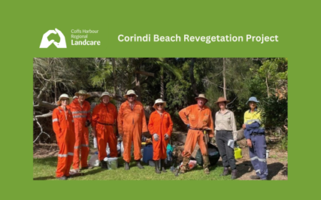 Corindi Beach Revegetation Project - Coffs Harbour Regional Landcare