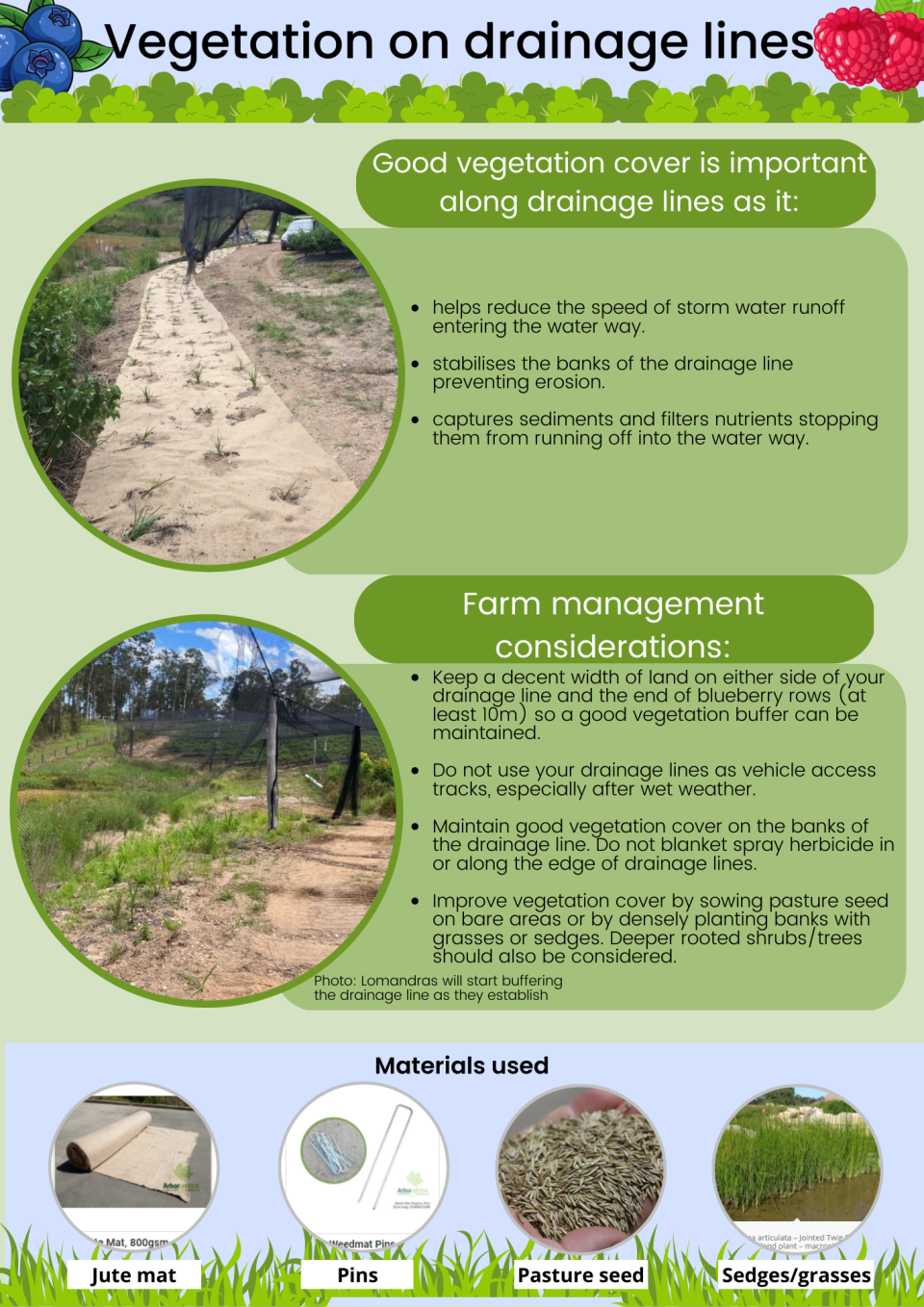 Ground and vegetation cover best management practices for intensive ...