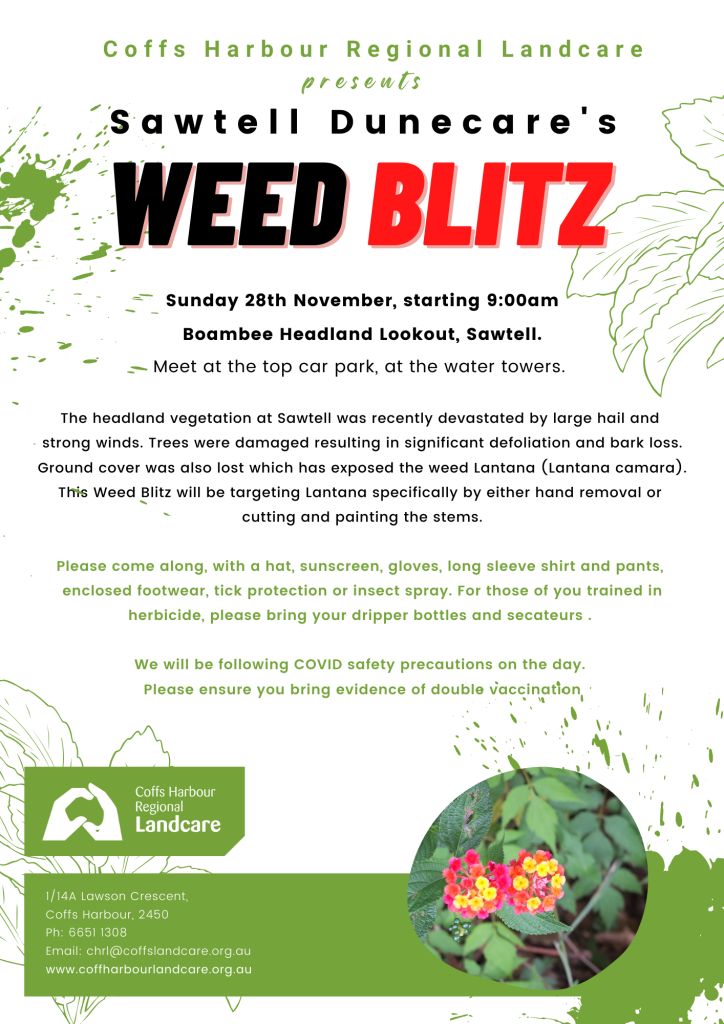 Weed Blitz Sunday 28th November 2021 - Coffs Harbour Regional Landcare