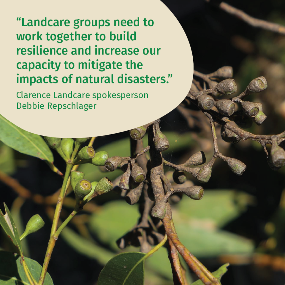 North Coast Region Native Seed Bank Project - Coffs Harbour Regional ...