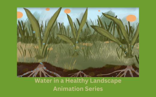 Water in a Healthy Landscape - Coffs Harbour Regional Landcare